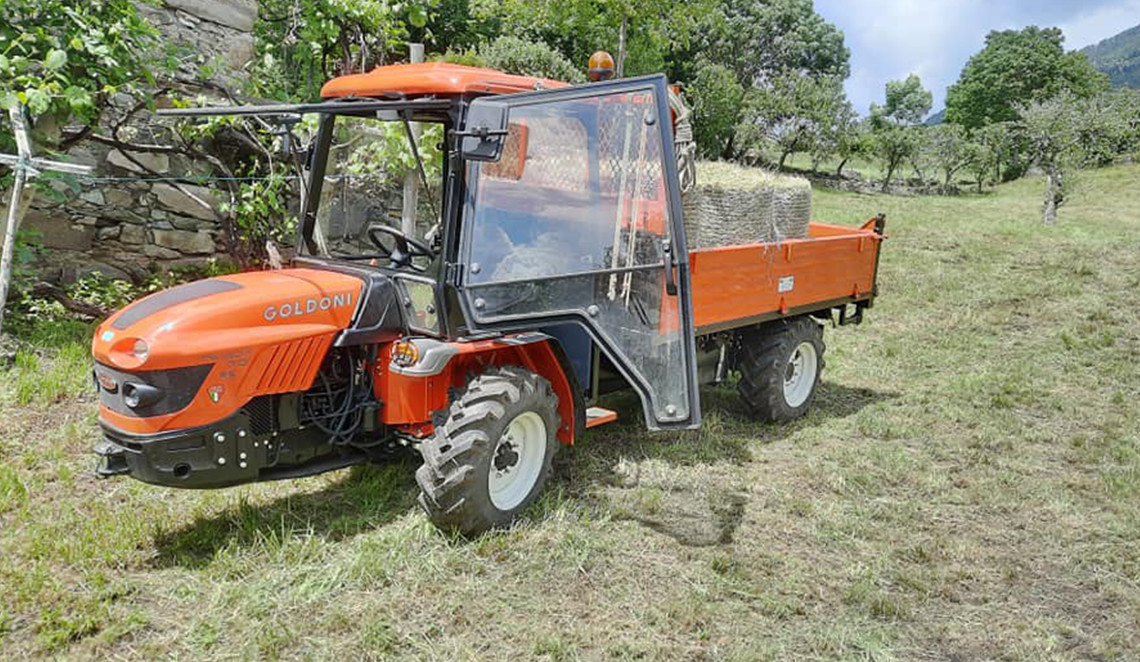 Goldoni tractors Official Facebook Community